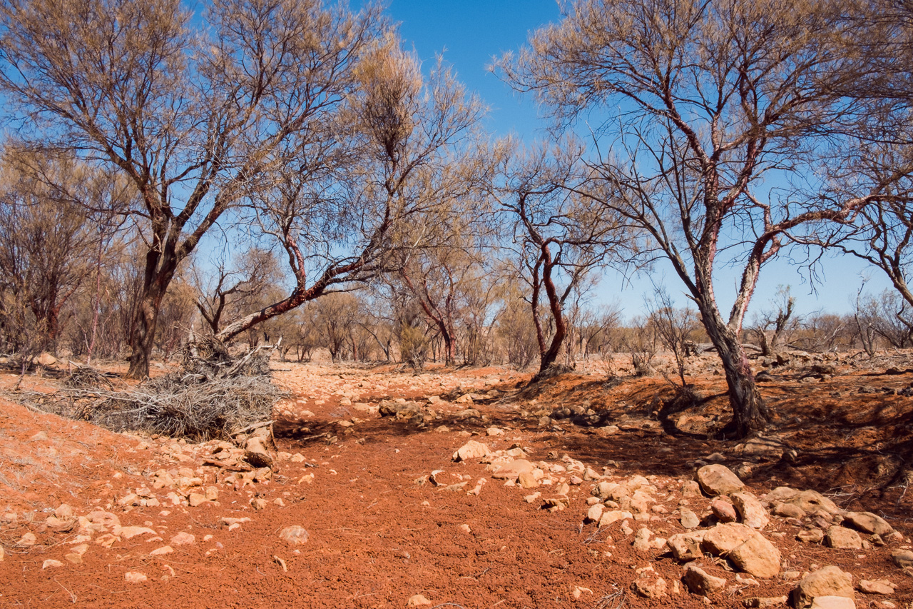 Impressions: The Filmist Preset Collection by Seim Effects – The ...