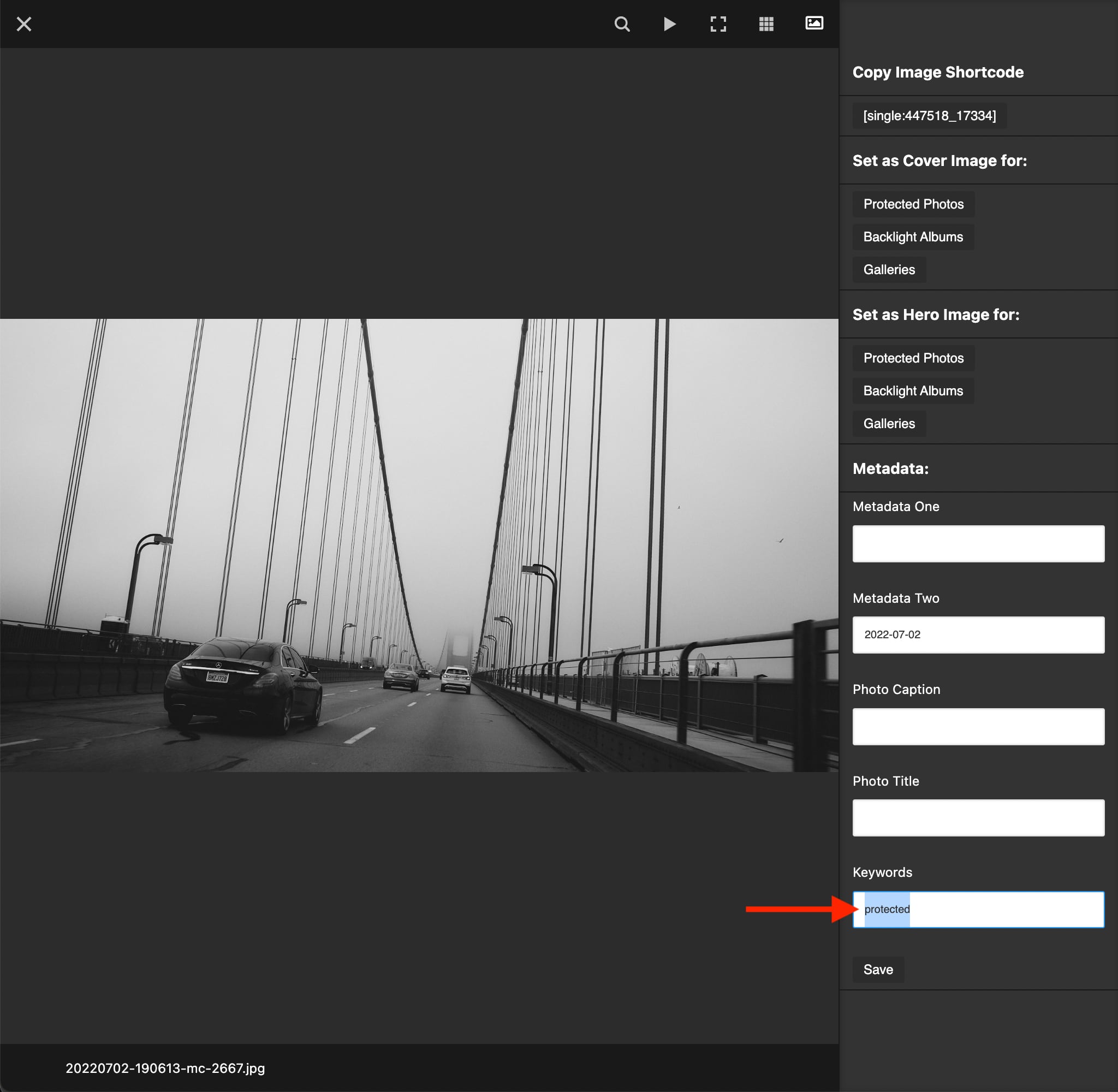Protected Photos in Backlight 5 – The Turning Gate